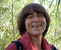 MWNF - Museum With No Frontiers